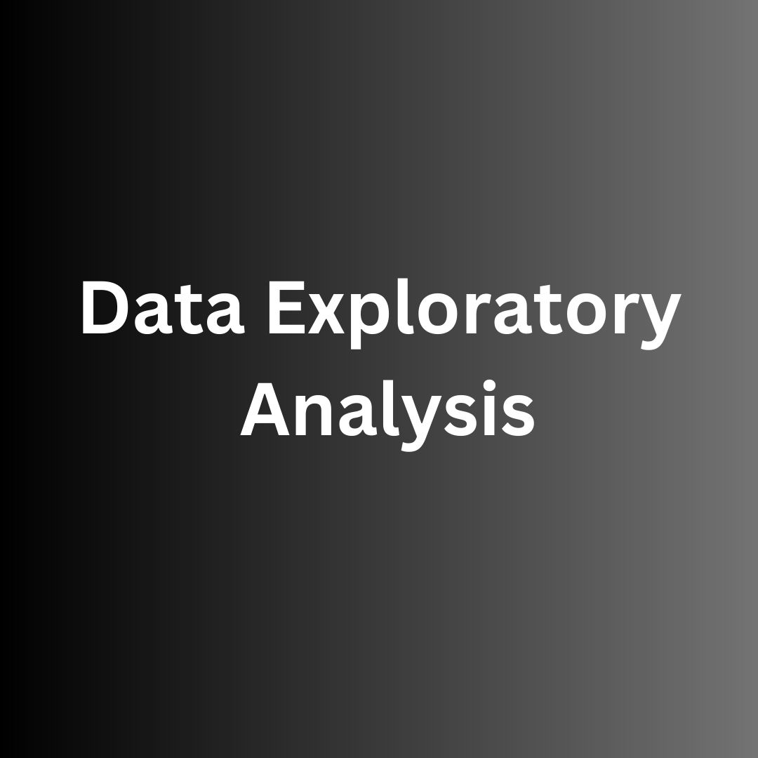 Data Analyst Portfolio